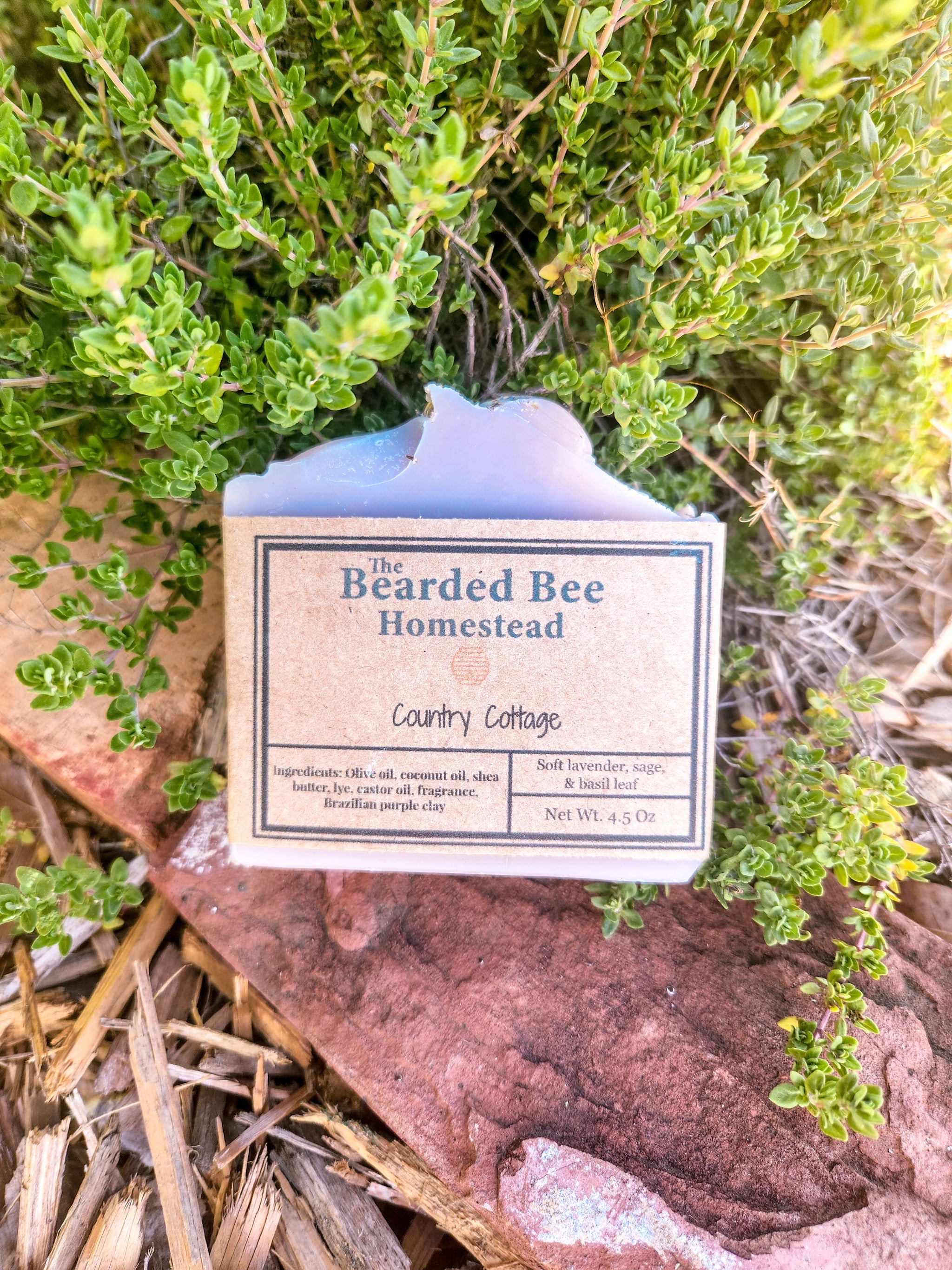 The Bearded Bee Homestead